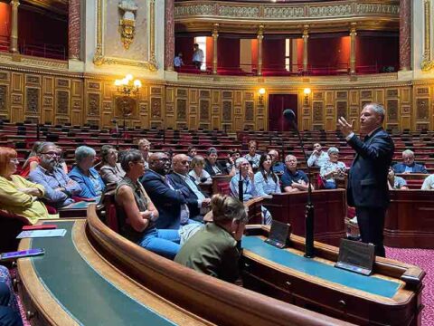 Au sénat - Les travaux parlementaires de Grégory Blanc